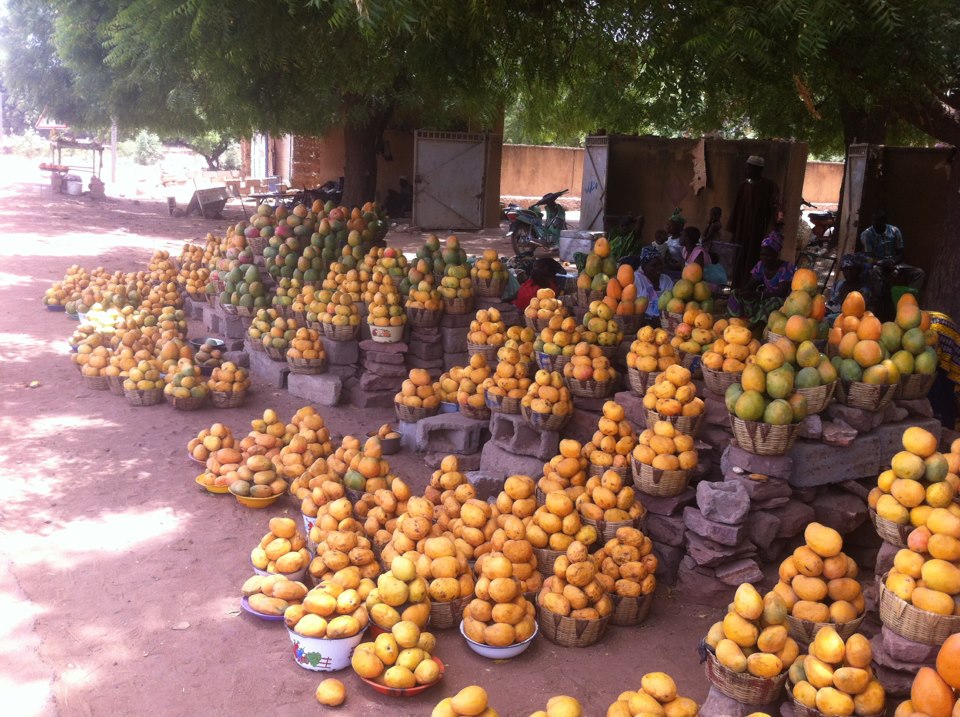Height of Mango Season: Mango Jam as Produced in Mali