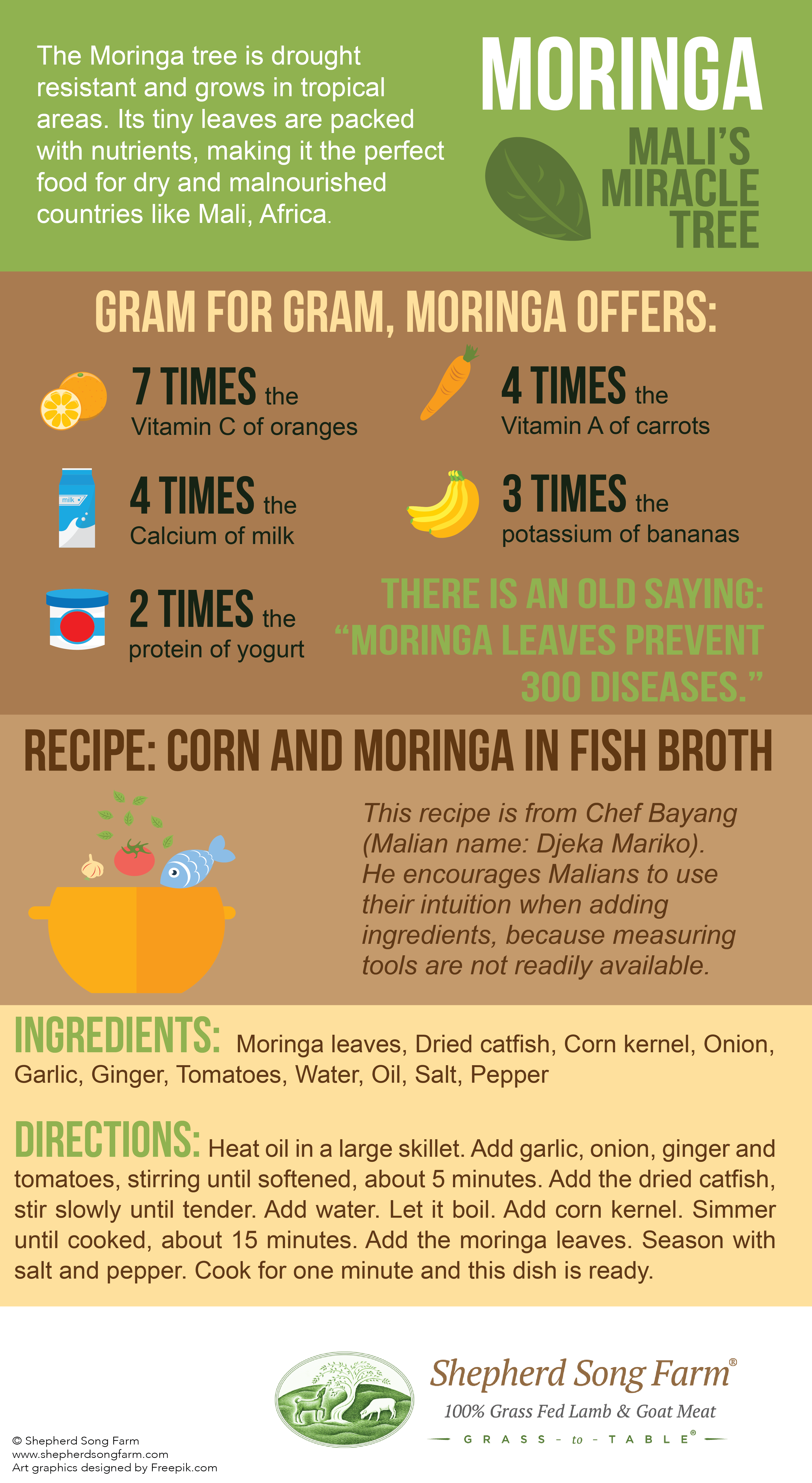 Moringa -- Tree of Life (Infographic)
